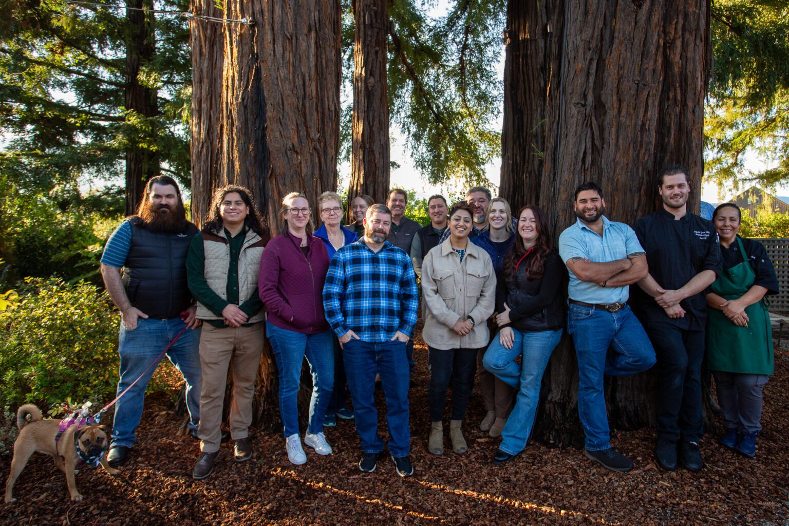 Cheers to a Remarkable Year – Thank You from Sequoia Grove Winery ...